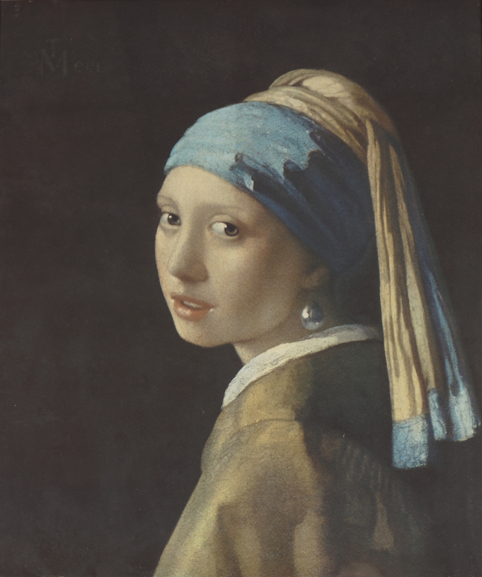 Jan Vermeer | Girl with the pearl earring | MutualArt