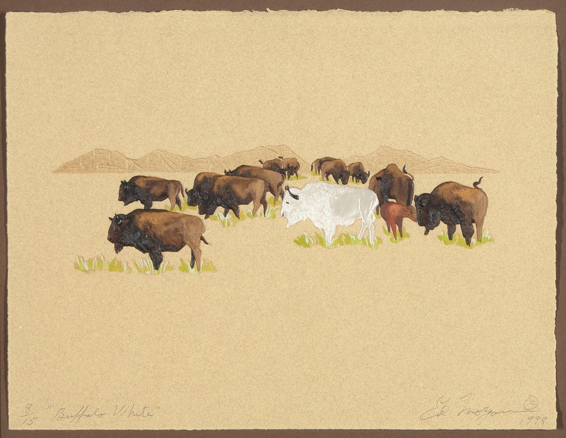 Ed Morgan | Buffalo White (1998) | MutualArt