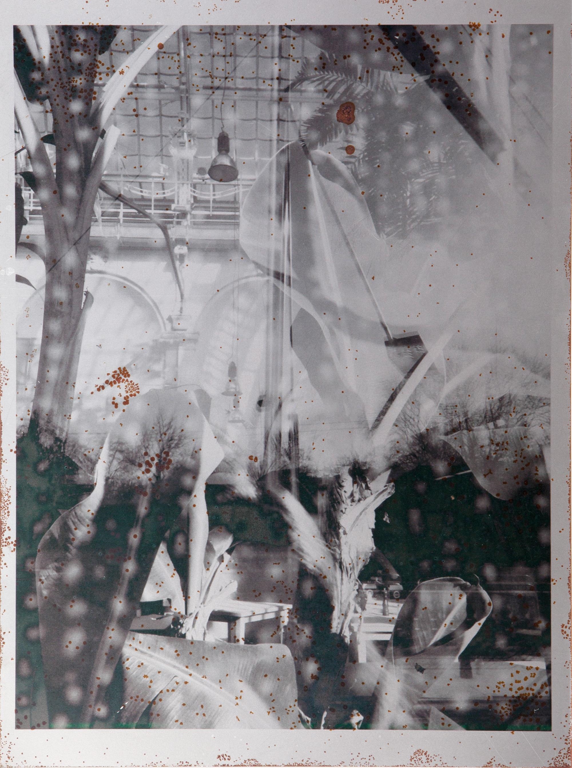 Josepha Edbauer | 2021 (2021) | MutualArt