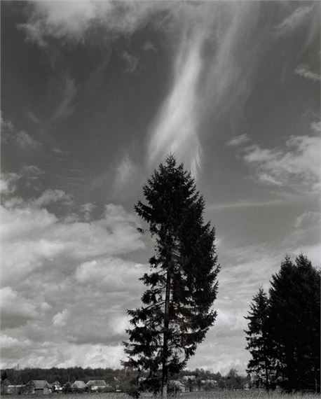 MARC DENEYER | 1 Artworks at Auction | MutualArt