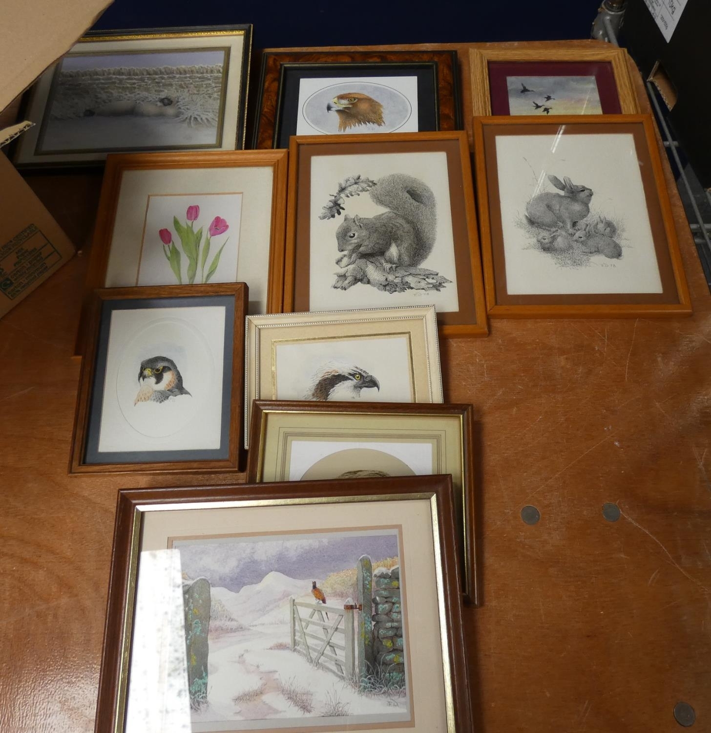 Frank Day | Miscellaneous Frank Day wildlife pictures etc. | MutualArt