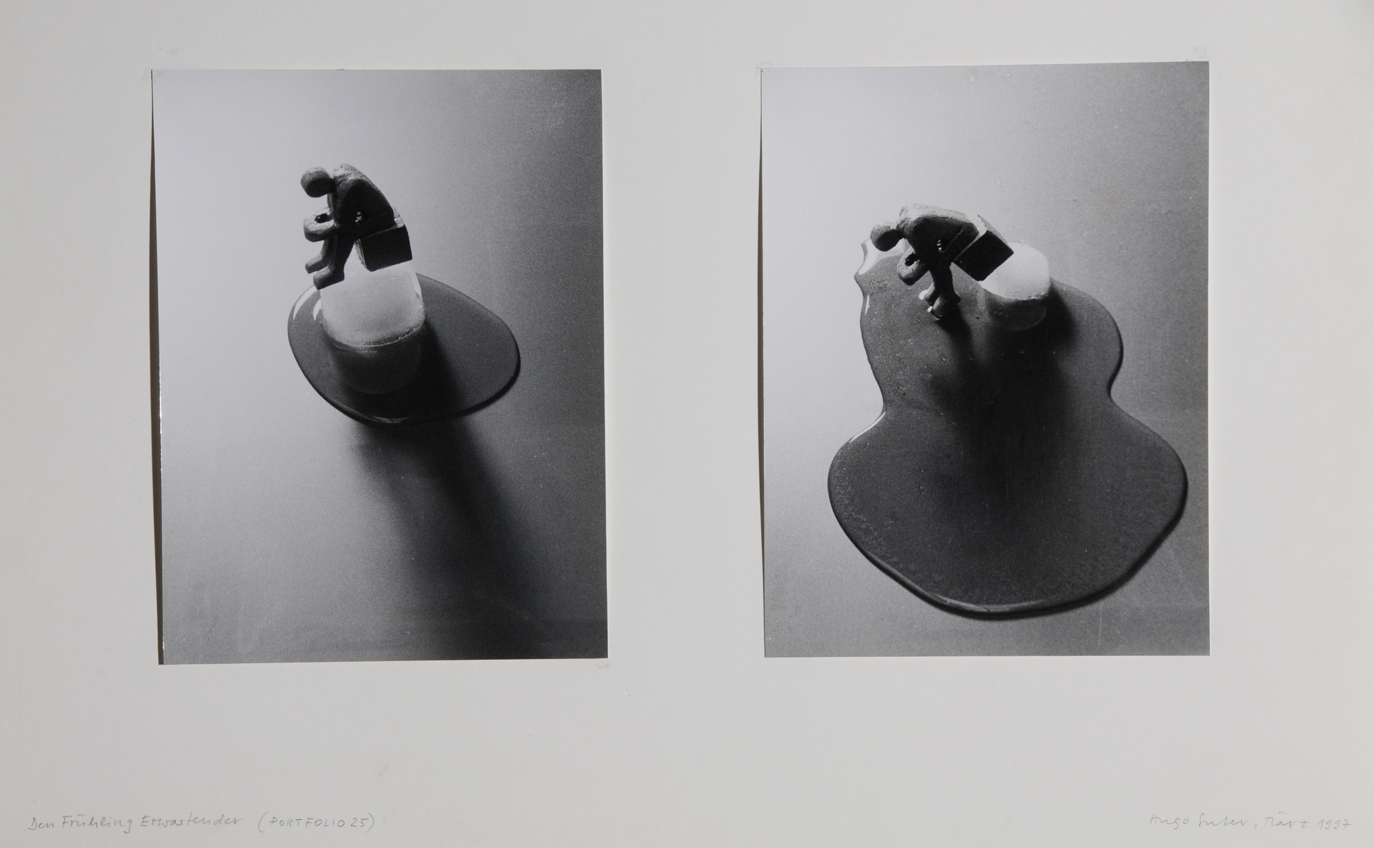 Hugo Suter | 2 photographs from portfolio 25 Den Frühling Erwartender ...