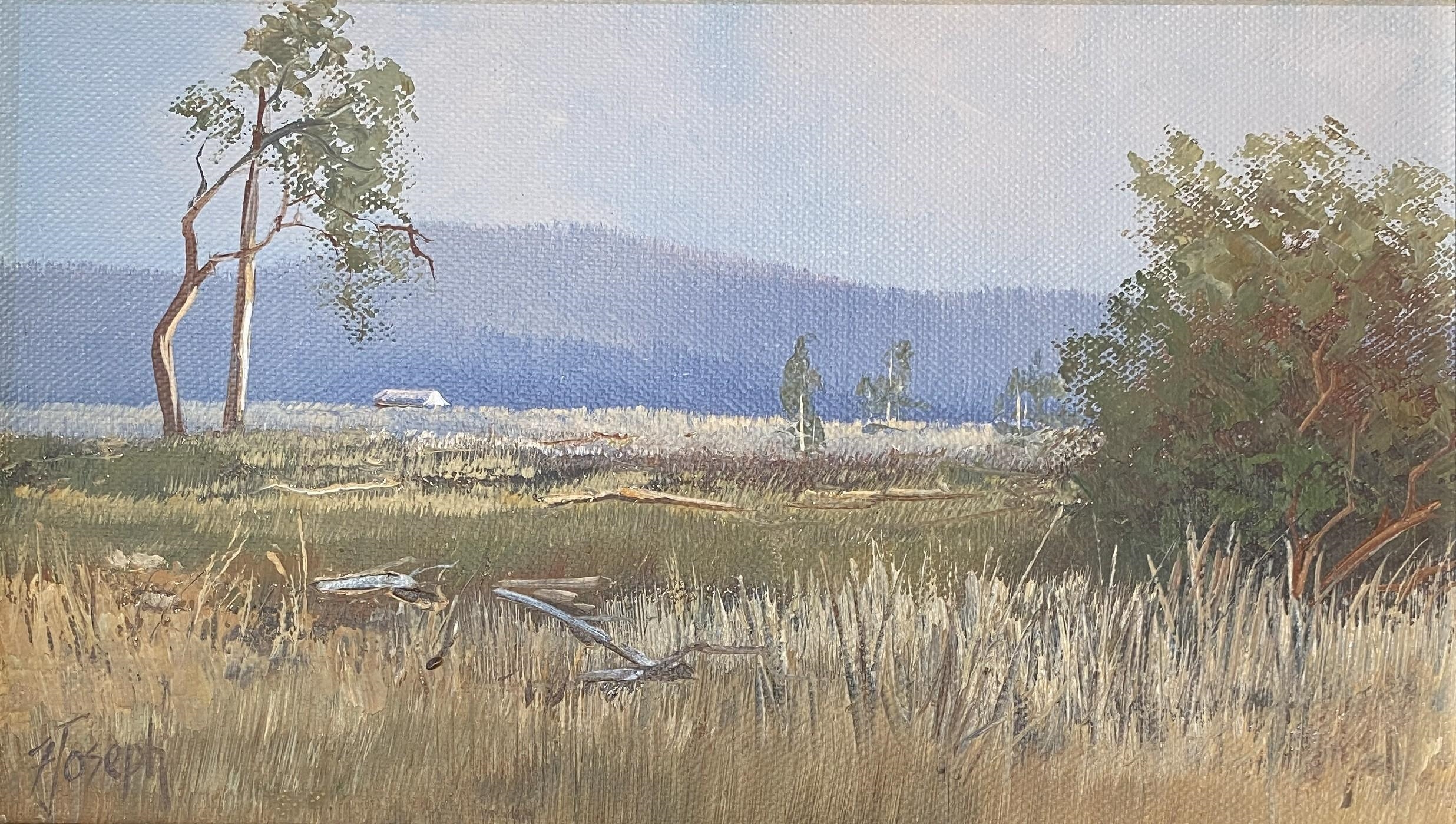 Fay Joseph | Tumut Landscape | MutualArt