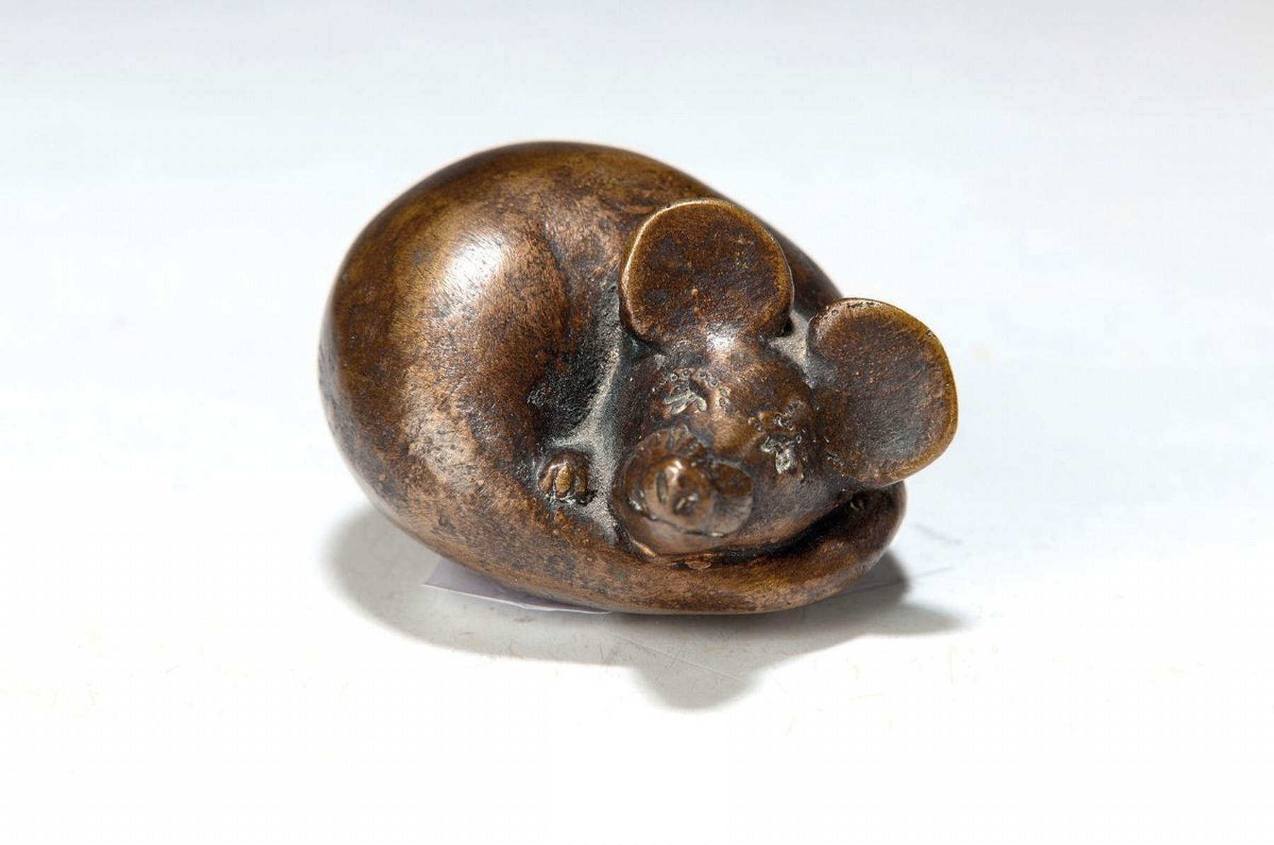 Gernot Rumpf | mouse curled up | MutualArt