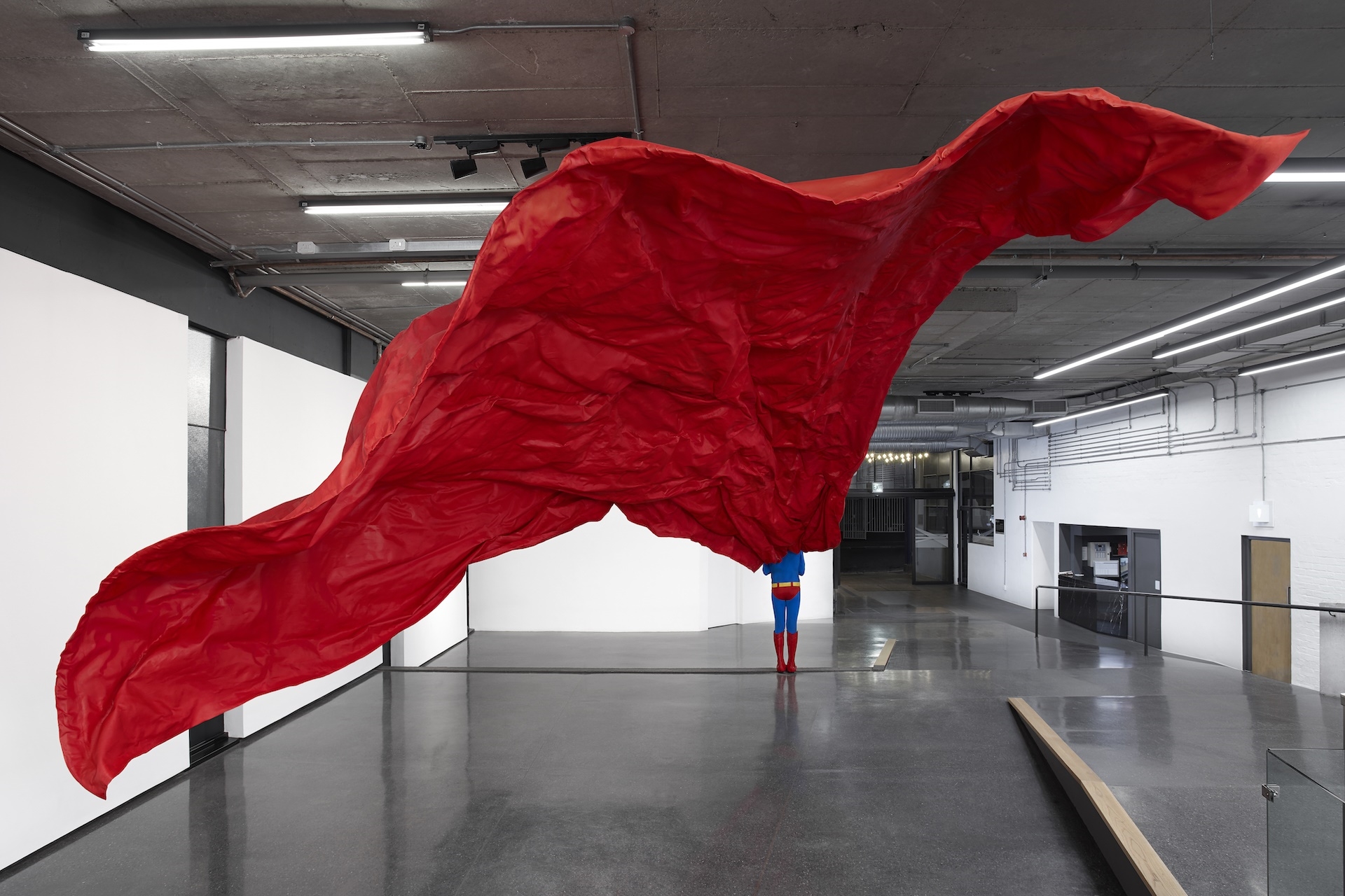 Ed Young | Hero (2019) | MutualArt