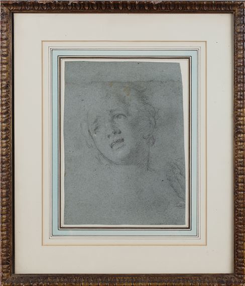 Giovanni Battista Crespi | Head of a Young Woman (17th Century) | MutualArt