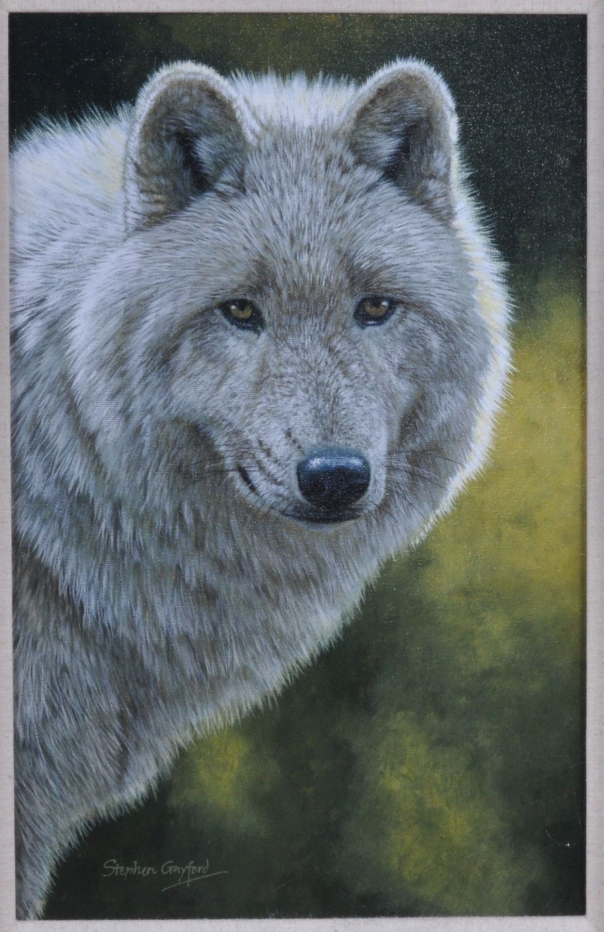 Stephen Gayford | - Arctic Apparition (2012) | MutualArt