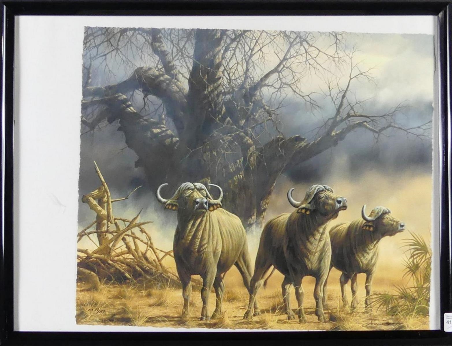 Andrew Bone | African Water Buffalo | MutualArt
