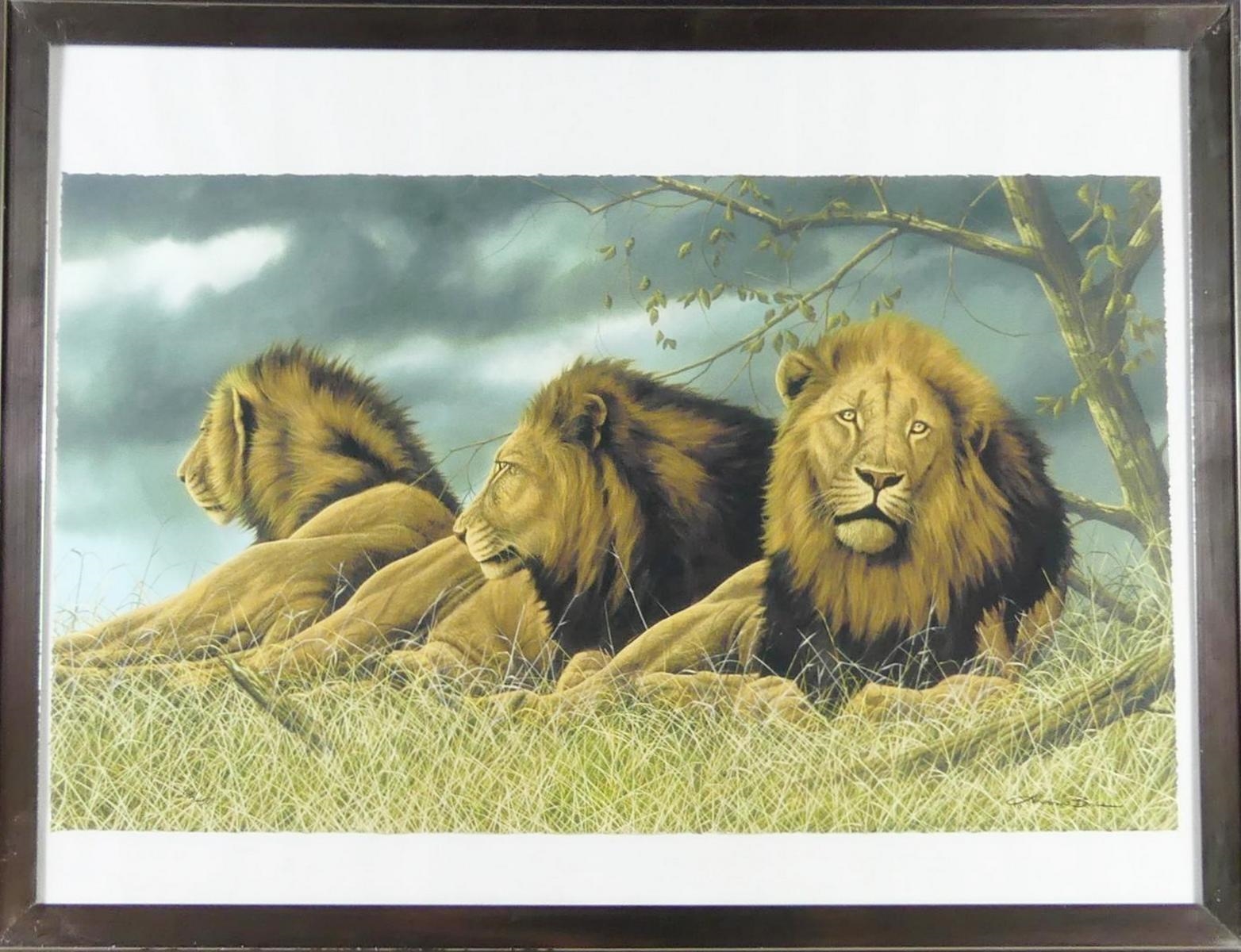 Andrew Bone | Lions | MutualArt