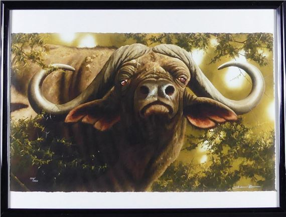 Andrew Bone | African Water Buffalo | MutualArt