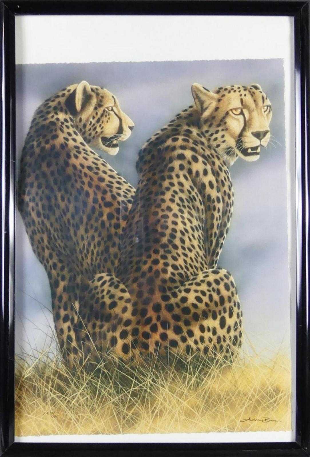 Andrew Bone | Cheetahs | MutualArt