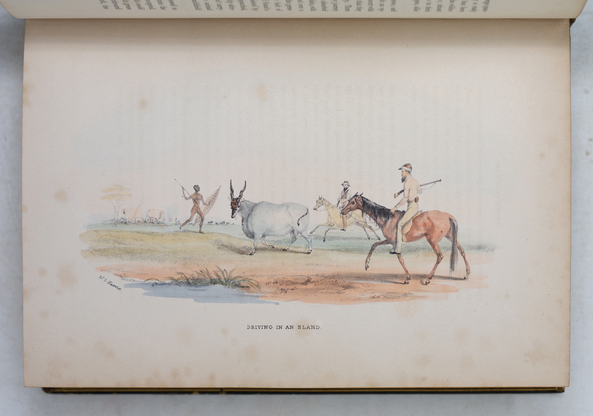 William Cornwallis Harris | The Wild Sports of Southern Africa (1841 ...