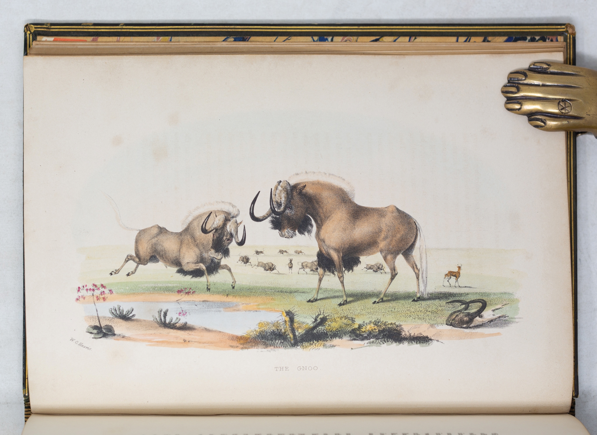 William Cornwallis Harris | The Wild Sports of Southern Africa (1841 ...