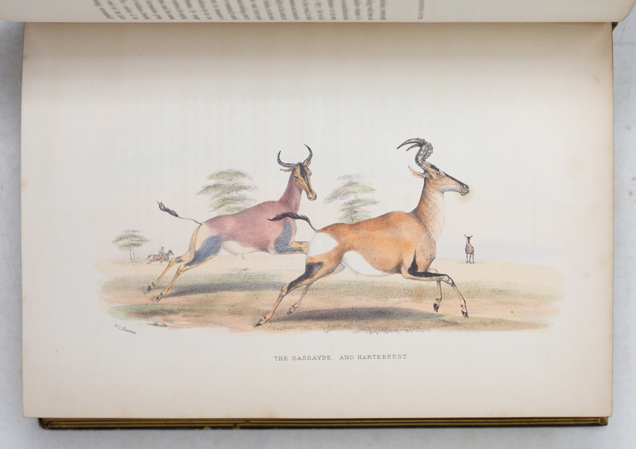 William Cornwallis Harris | The Wild Sports of Southern Africa (1841 ...