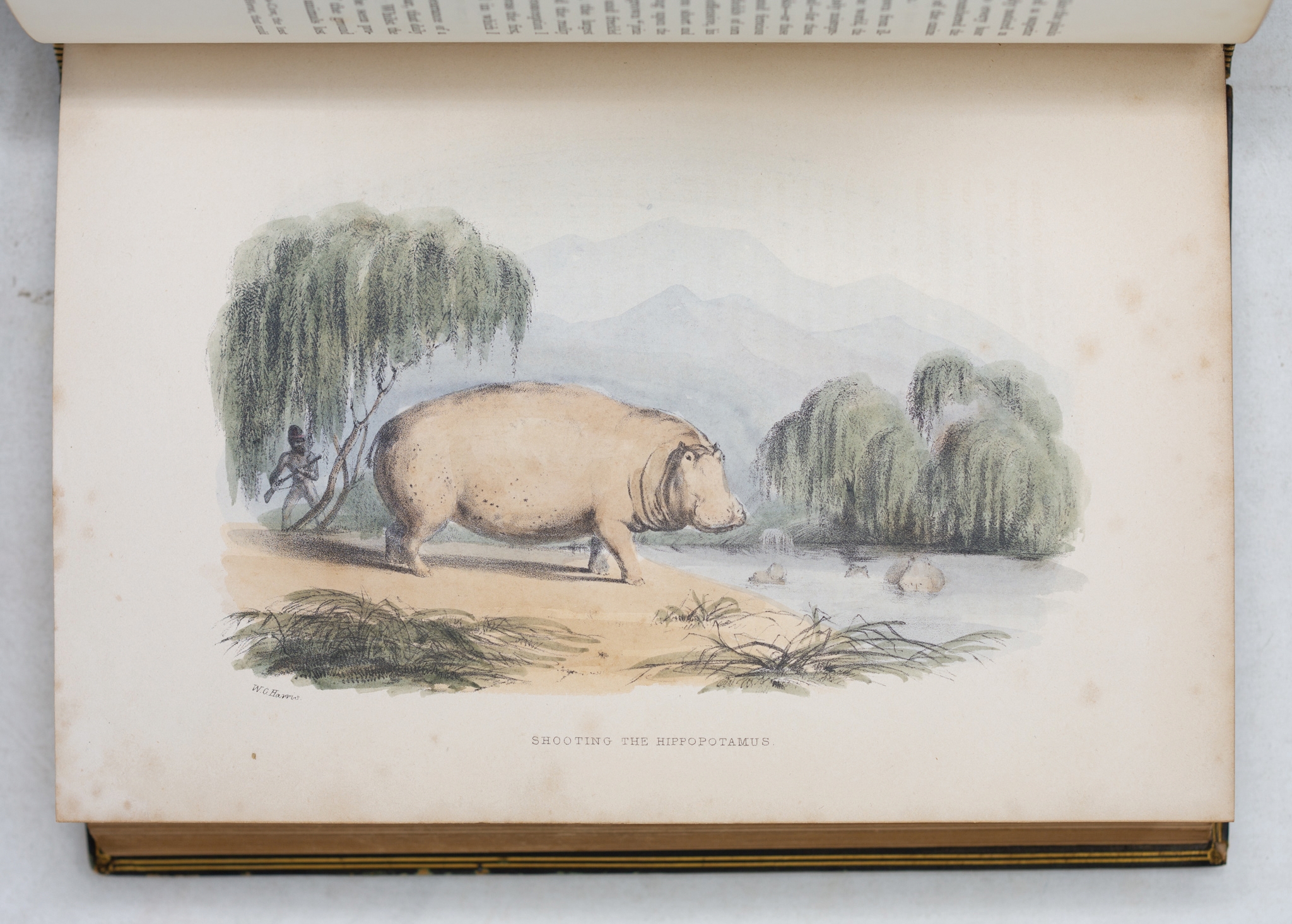 William Cornwallis Harris | The Wild Sports of Southern Africa (1841 ...