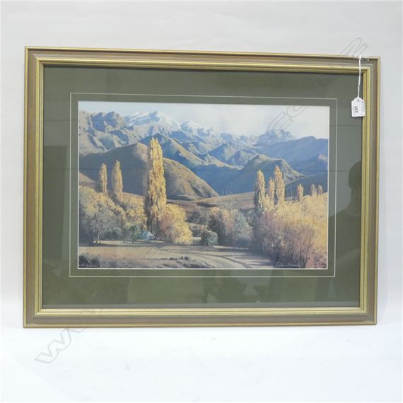 Graham Brinsley | MACETOWN | MutualArt