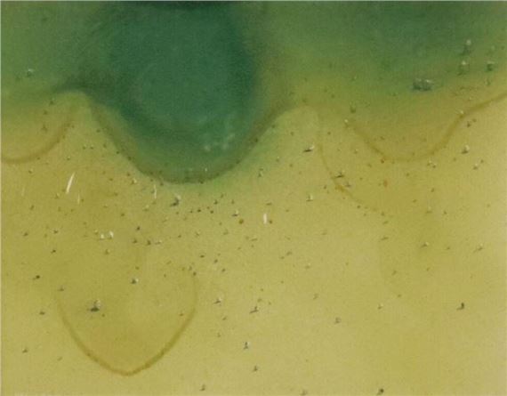 Kelly Fearing | Sea Transformations | MutualArt