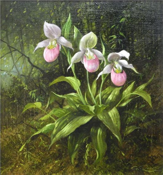 Geoffrey Allan Rock | Lady's Slipper | MutualArt
