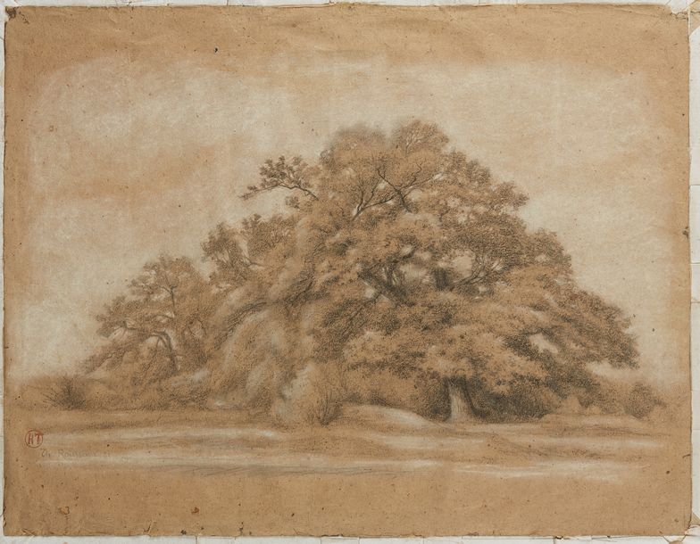 Théodore Rousseau | The big oak tree (1818) | MutualArt