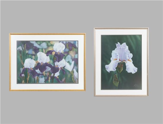 Mark Coyle | 2 Artworks at Auction | MutualArt