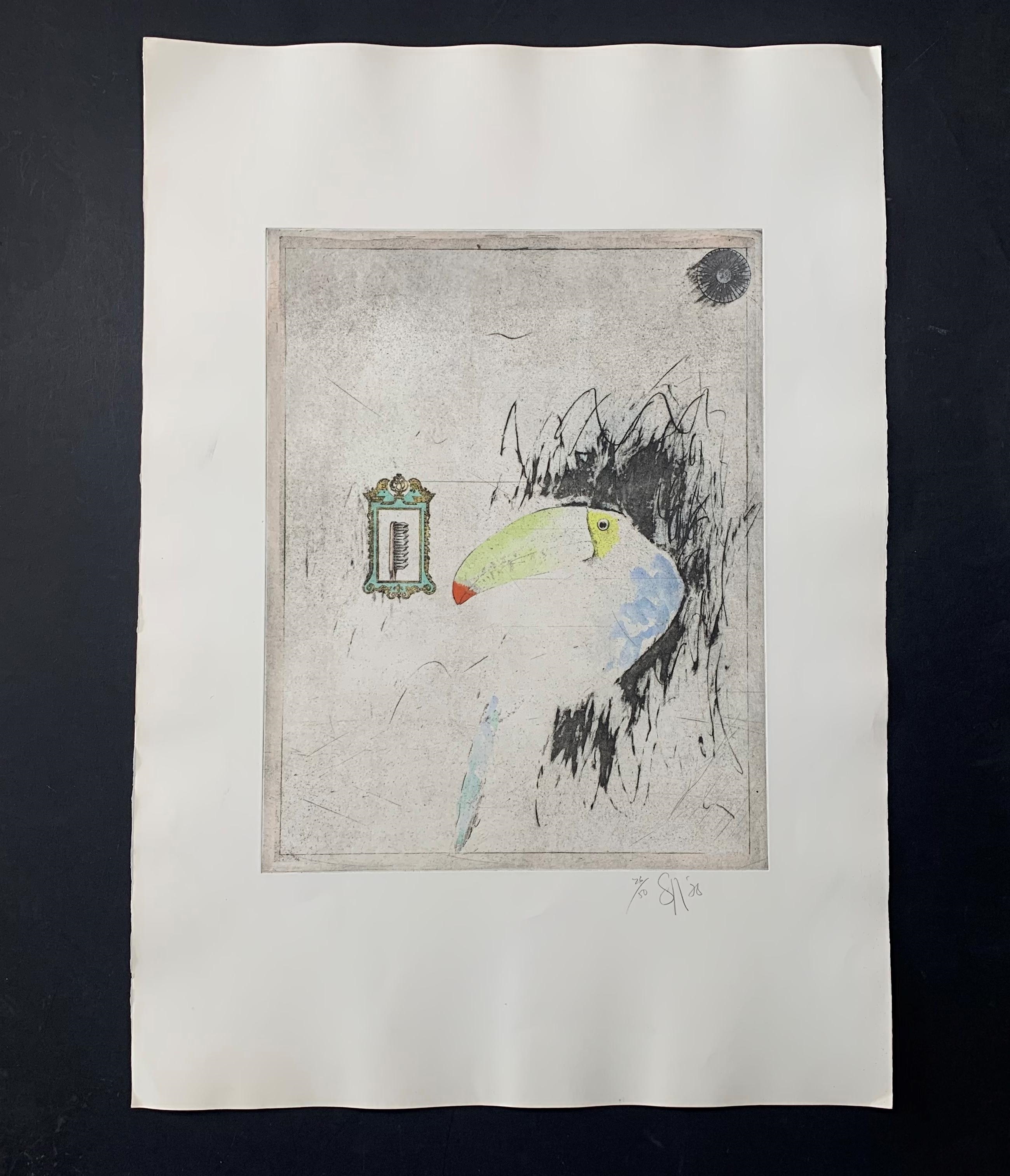 Donald Jay Saff | Toucan | MutualArt