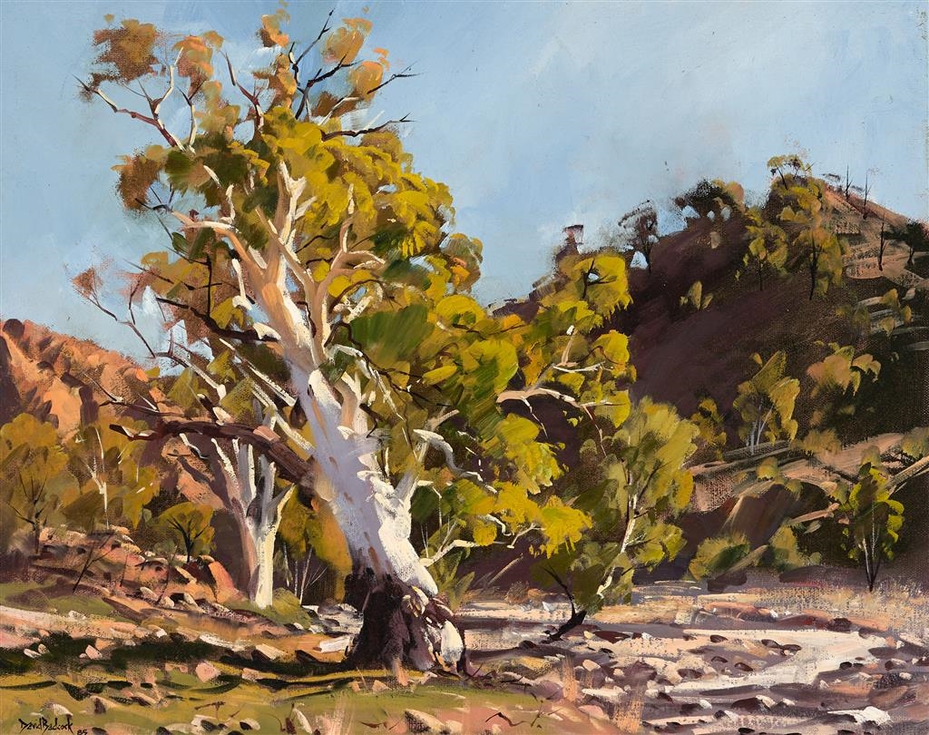 David Badcock | Brachina Gorge Flinders Ranges (1985) | MutualArt