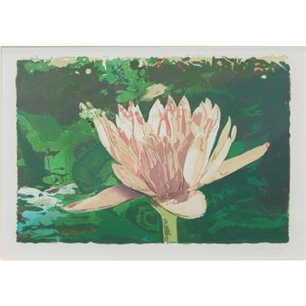 Joseph Raffael | Haiku Fish (1979) | MutualArt