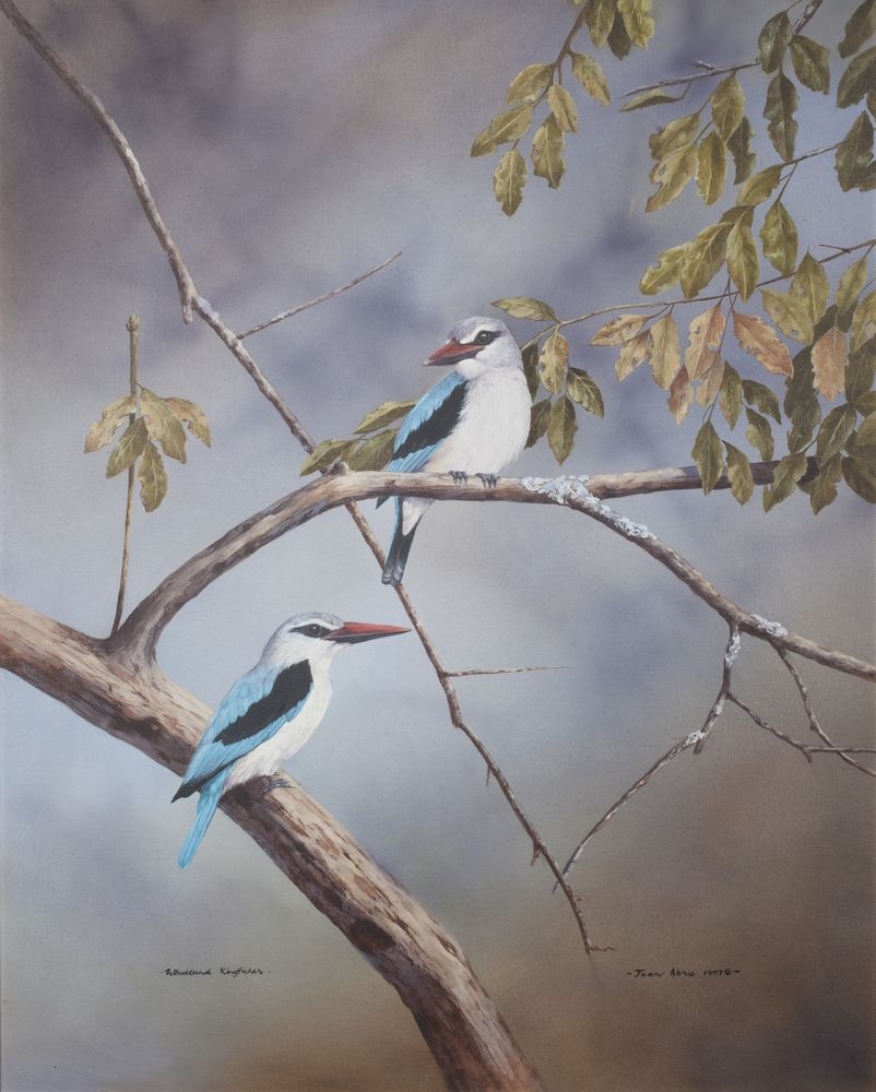 Jean Abrie | Woodland Kingfisher (1997) | MutualArt