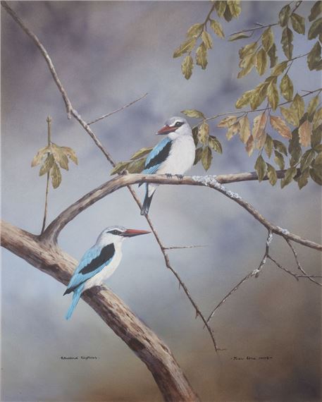Jean Abrie | Woodland Kingfisher (1997) | MutualArt