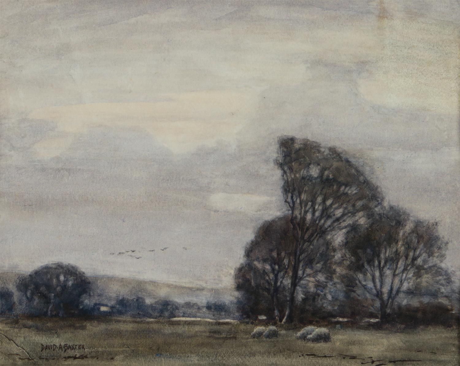 David A. Baxter | SHEEP GRAZING | MutualArt