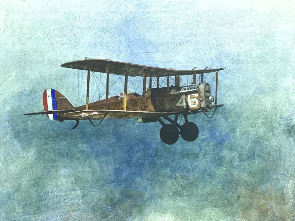 Dan Witkoff | Vintage Airplane | MutualArt