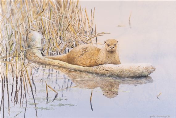 Robin Armstrong | Otter Resting signed and dated 'Robin Armstrong '95 ...