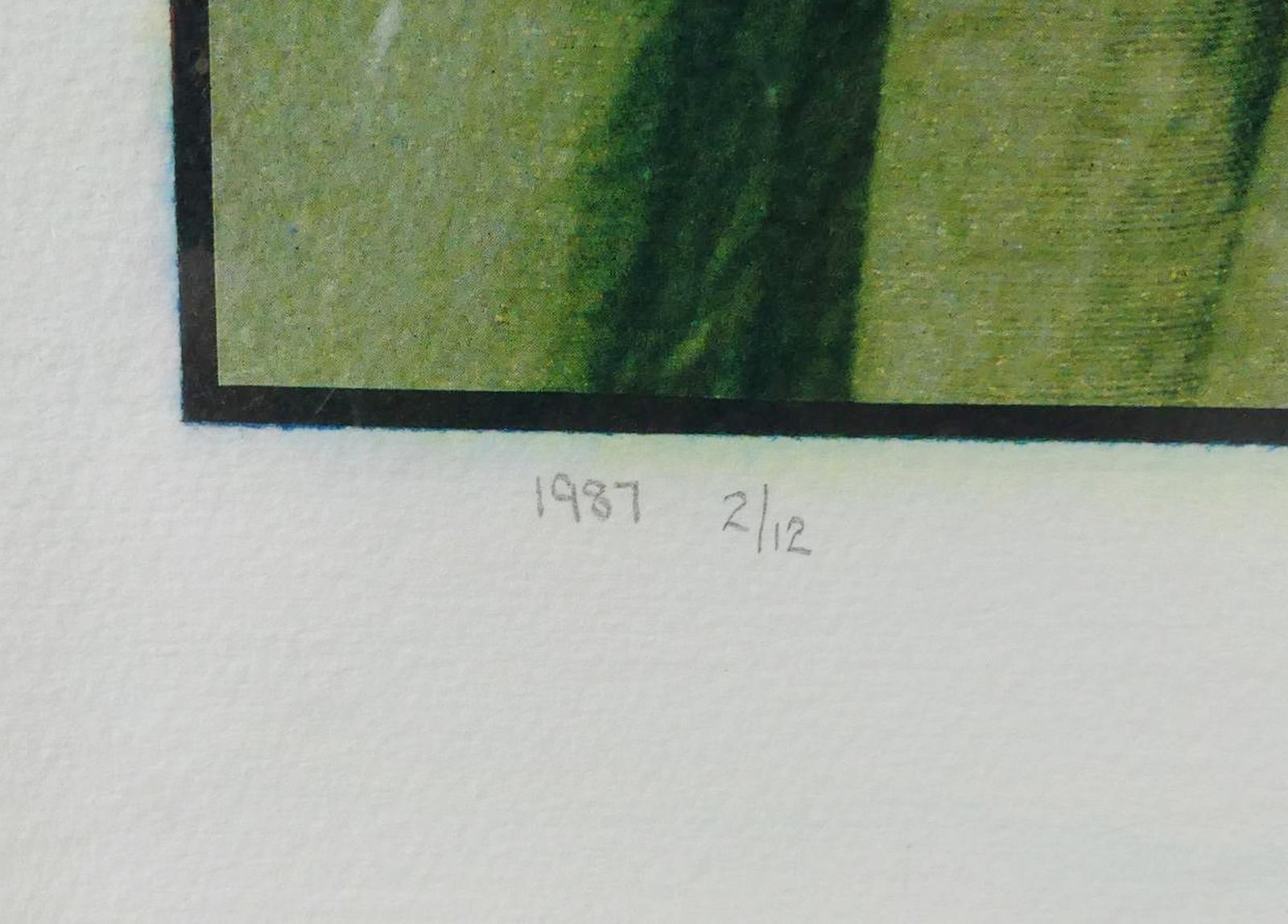 Stephen Livick | Portrait (1987) | MutualArt