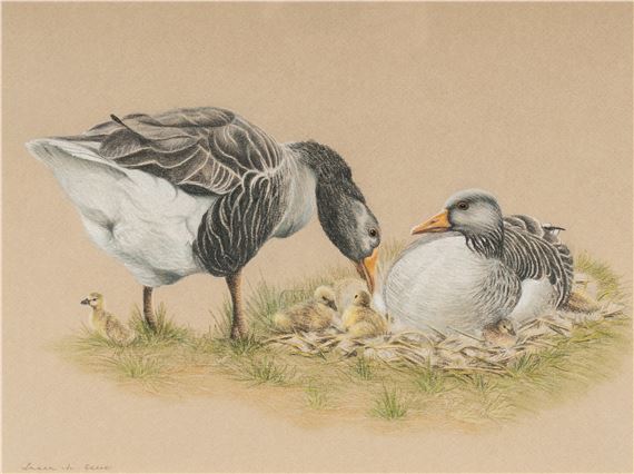 Susan Geere | 1 Artworks at Auction | MutualArt