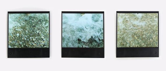 Lydia Elliott | 1 Artworks at Auction | MutualArt