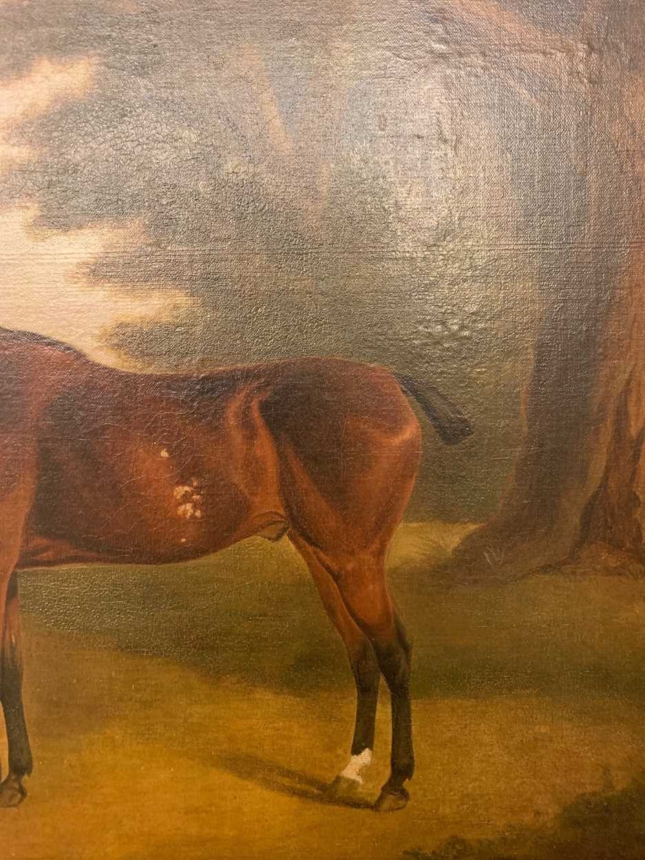 John Boultbee | Portrait of the hunter Weasel in a wooded landscape ...