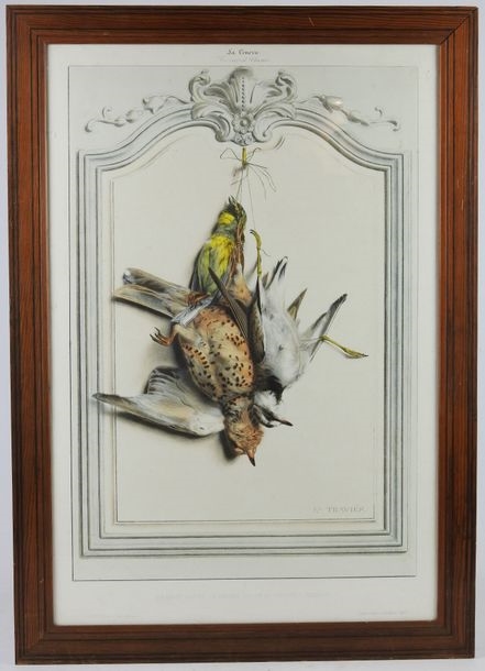 Édouard Traviès | The drake thrush, the wiener bunting & the collared ...