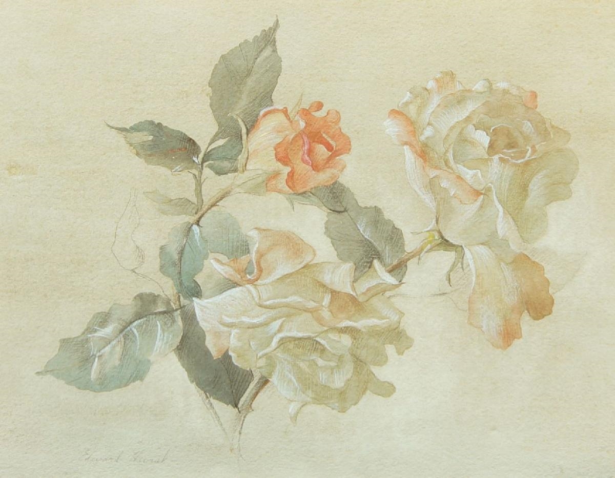 Edward Hurst | Botanical study | MutualArt