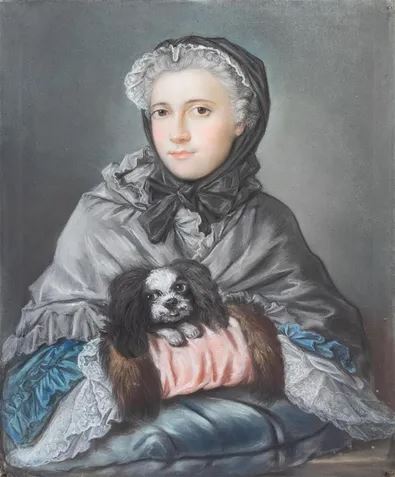 Alexander Roslin | Jongedame met schoothondje | MutualArt
