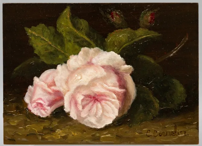Cornelis de Wit | Stilleven met rozen | MutualArt