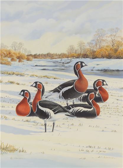 Alan Harris | Red-breasted geese | MutualArt
