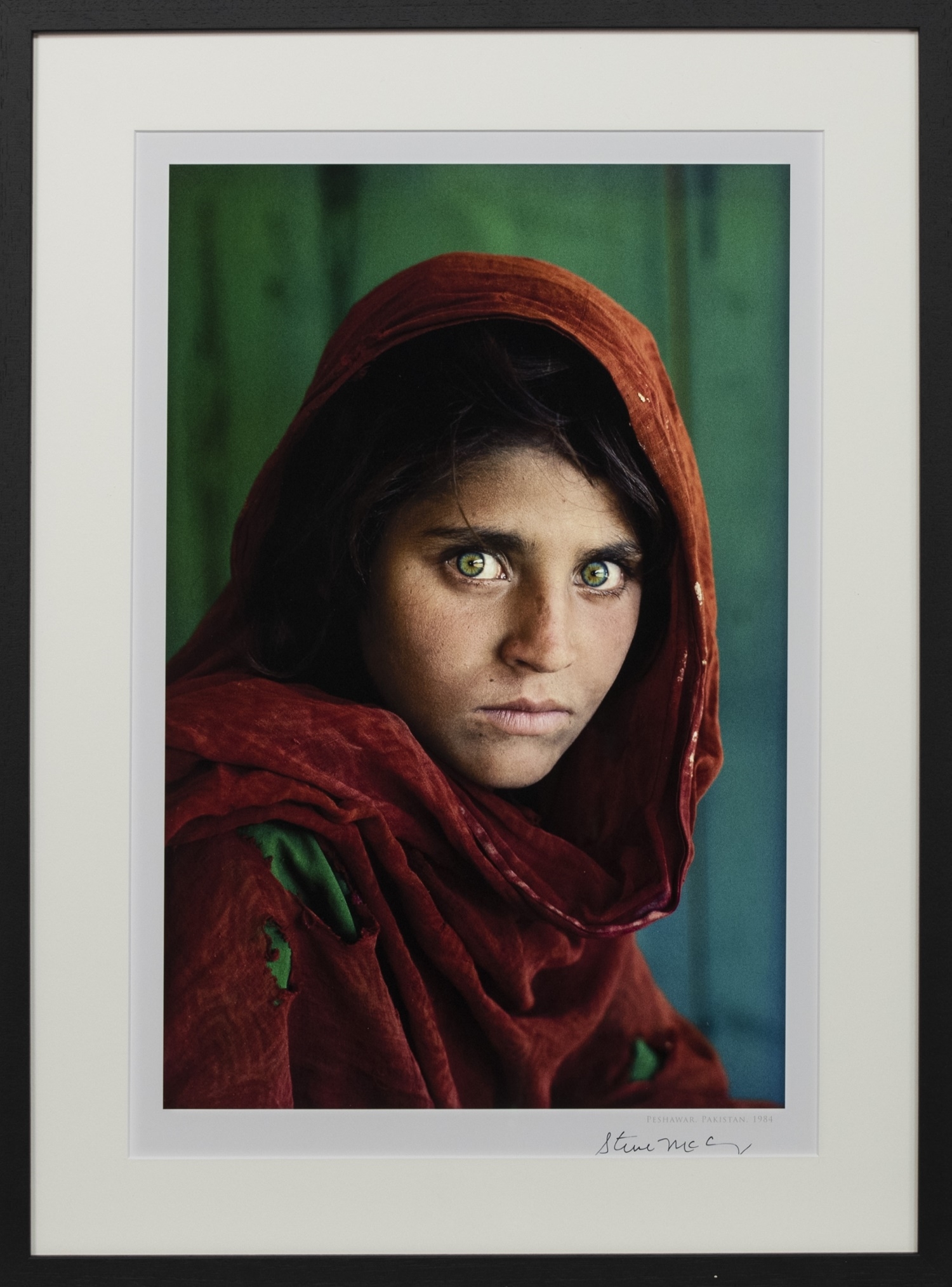 Steve McCurry | SHARBAT GULA | MutualArt