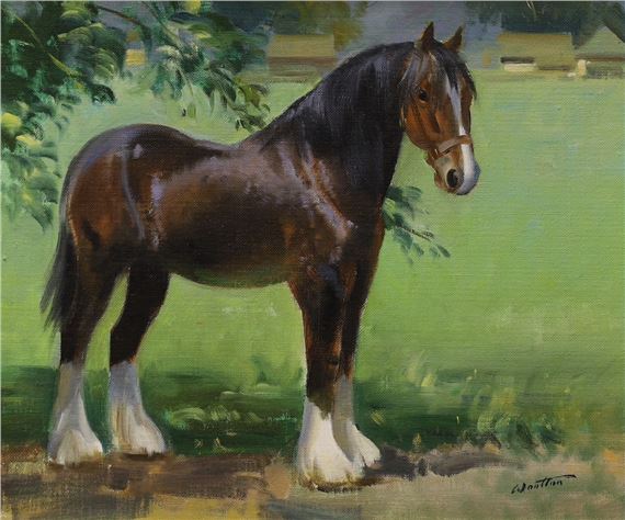 Frank Wootton | 'Study of a Shire horse' | MutualArt