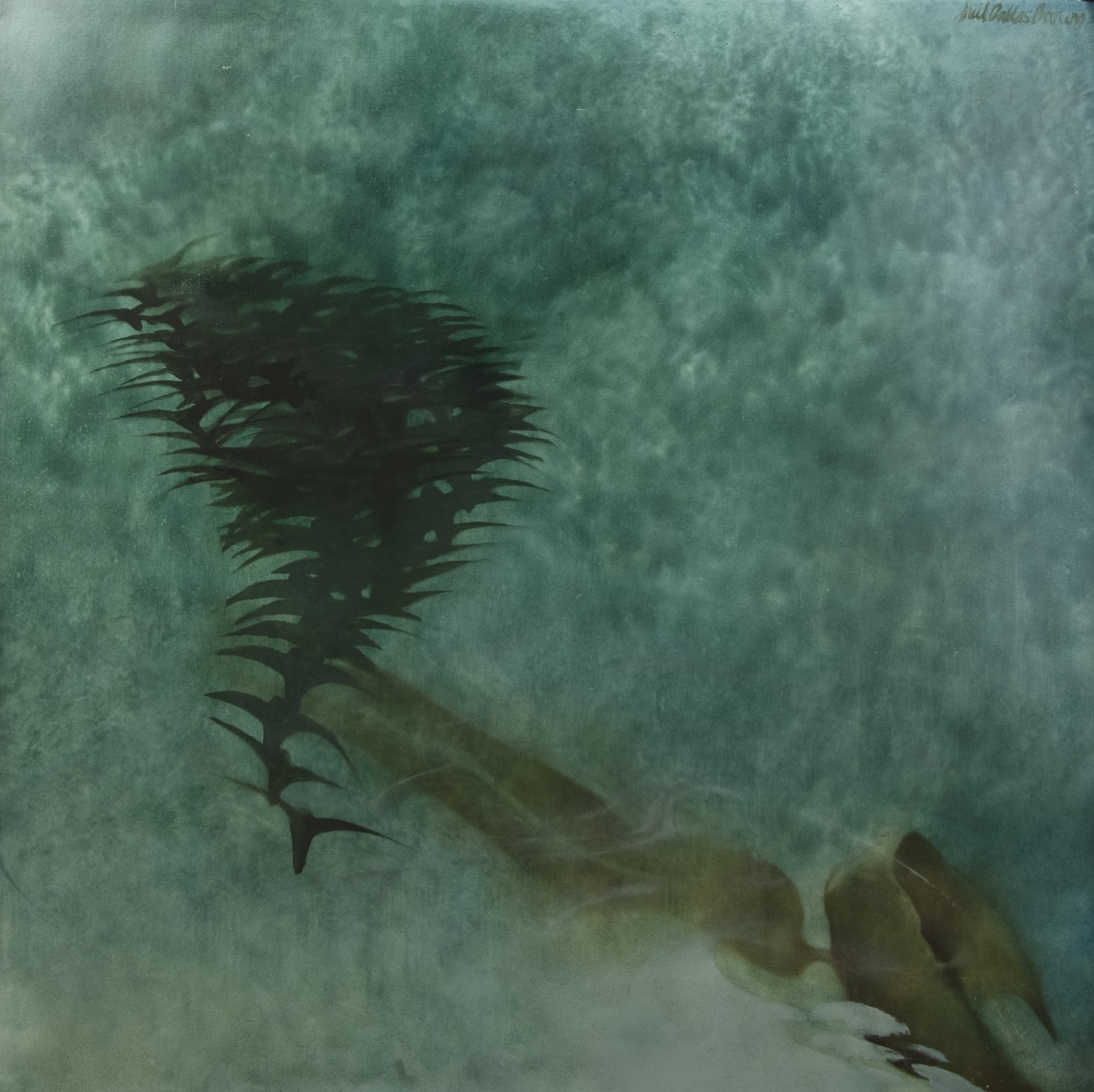 Neil Dallas Brown | QUIETUS (TO MY MOTHER) (1991) | MutualArt