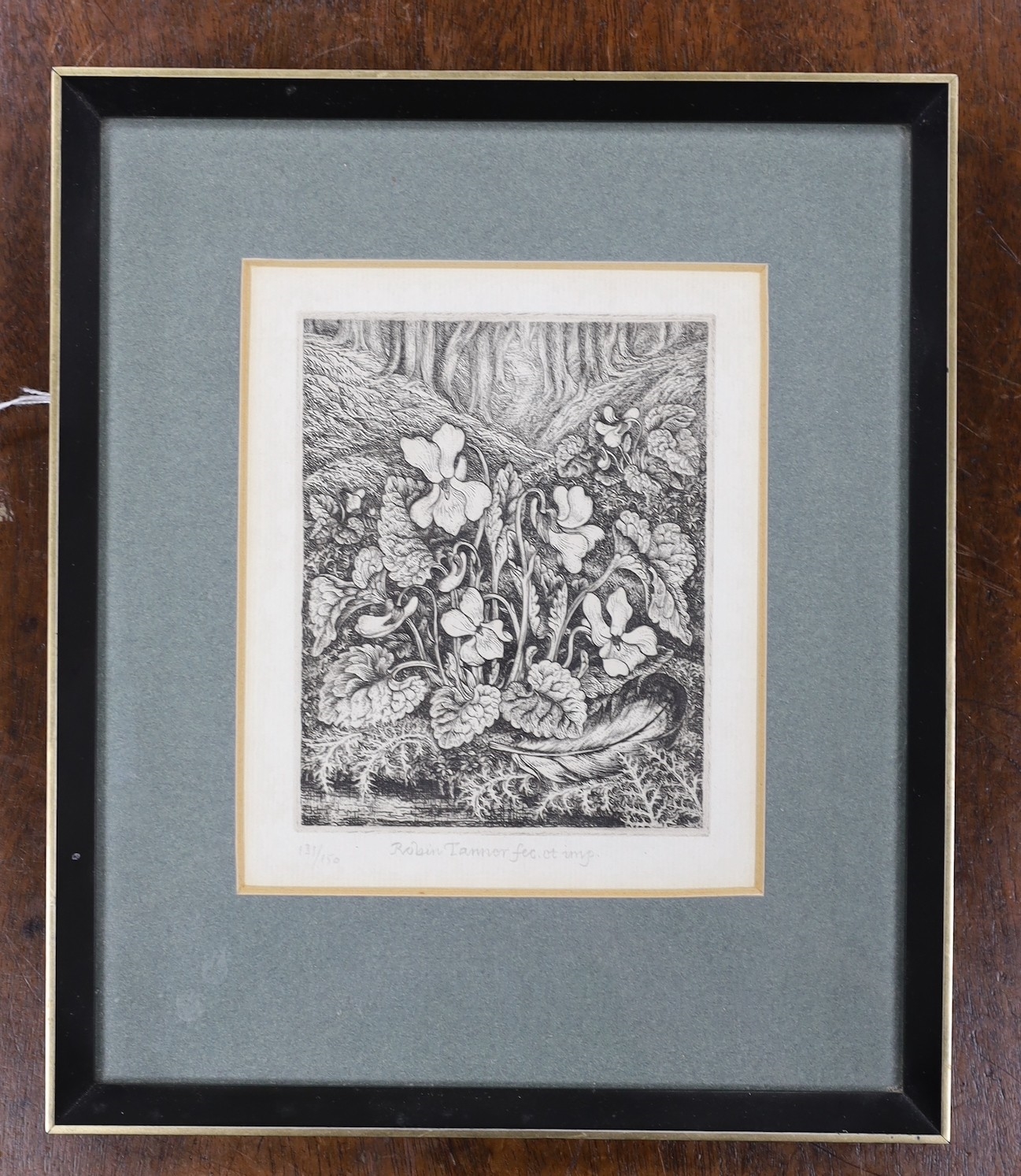 Robin Tanner | White violets | MutualArt