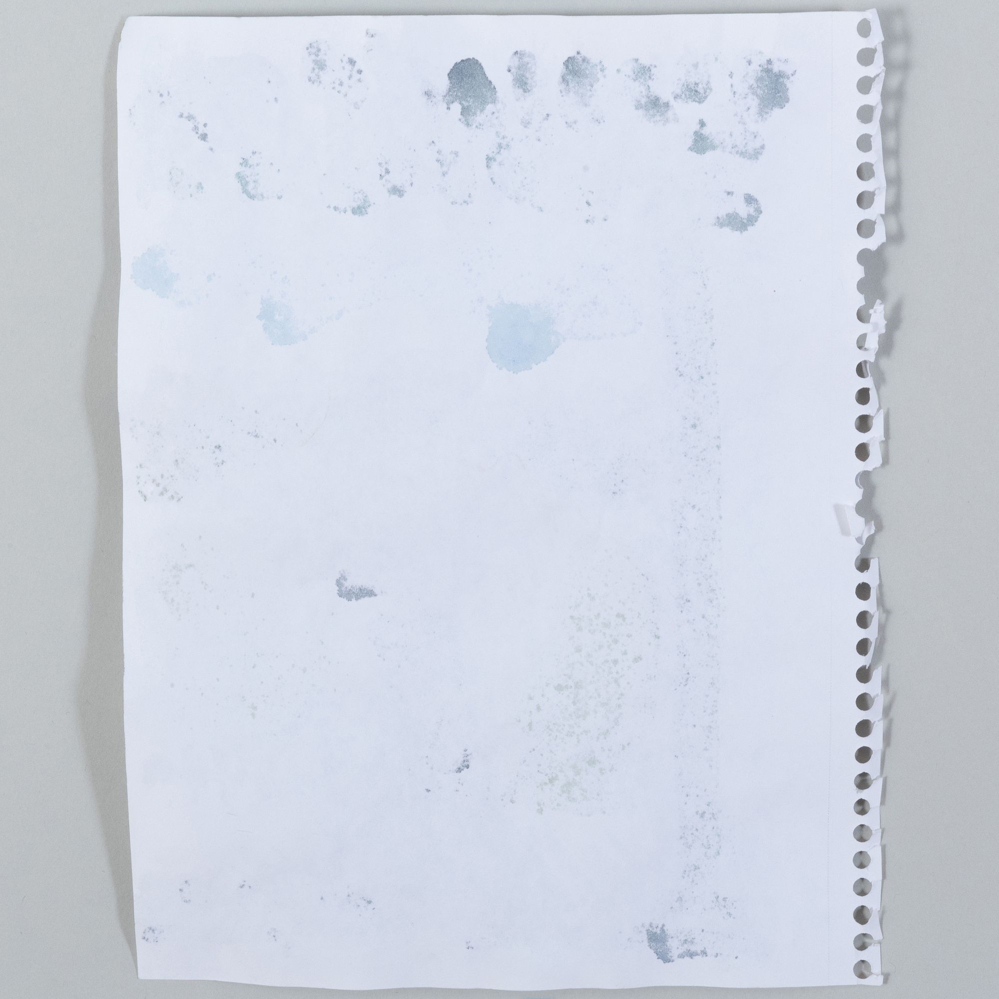 Cornelia Foss | Zinnias (2018) | MutualArt