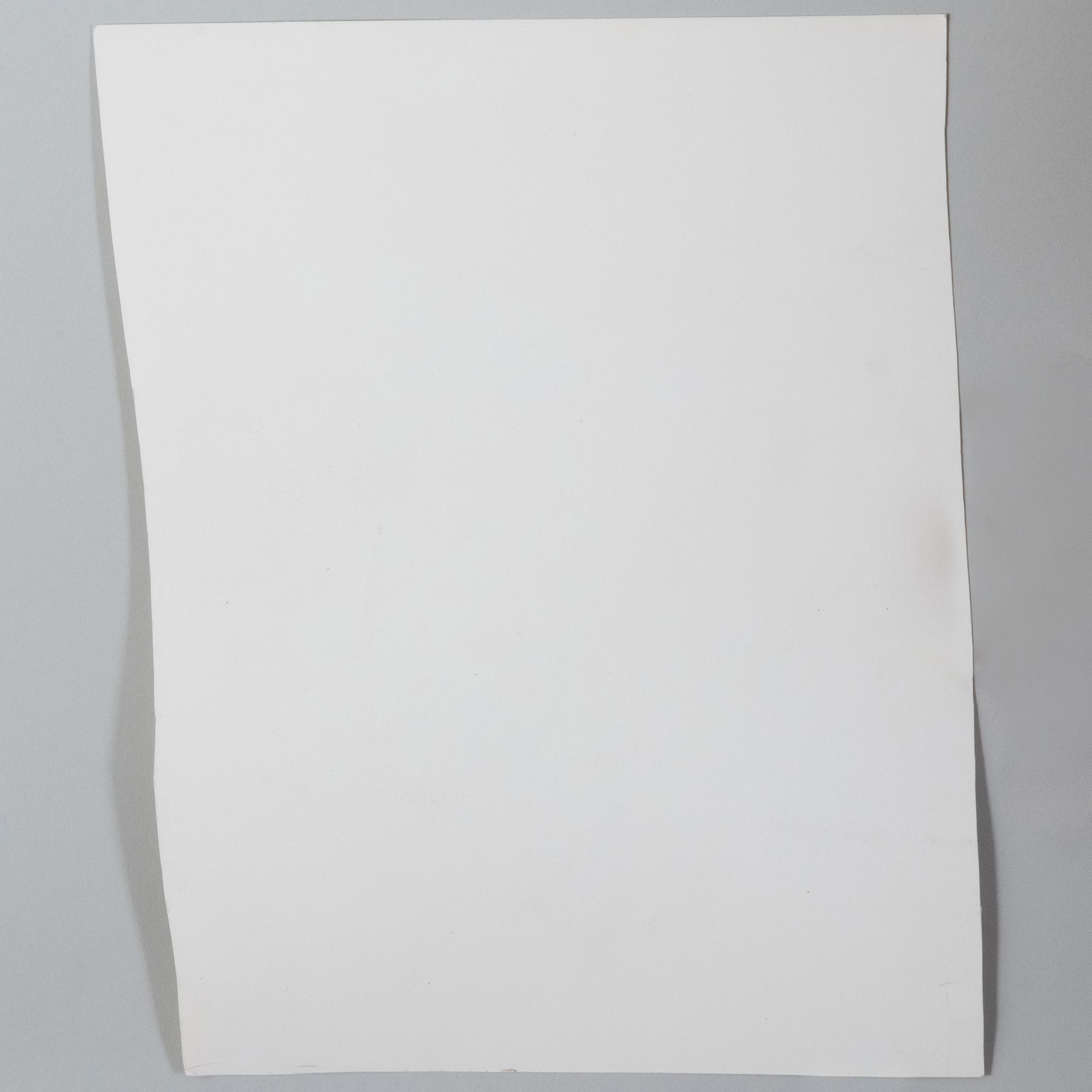 Cornelia Foss | Zinnias (2018) | MutualArt