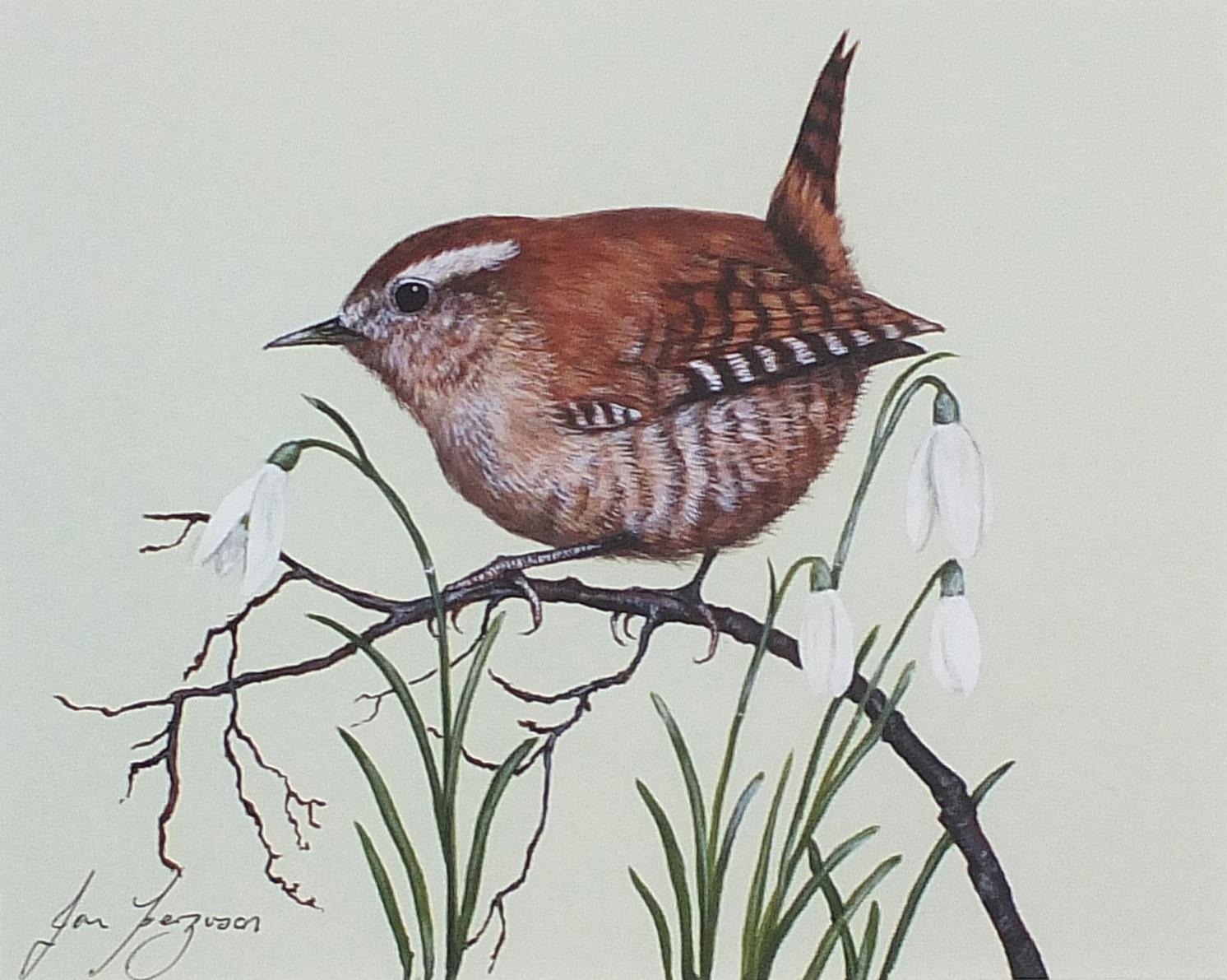Jan Ferguson | Bird on a branch | MutualArt