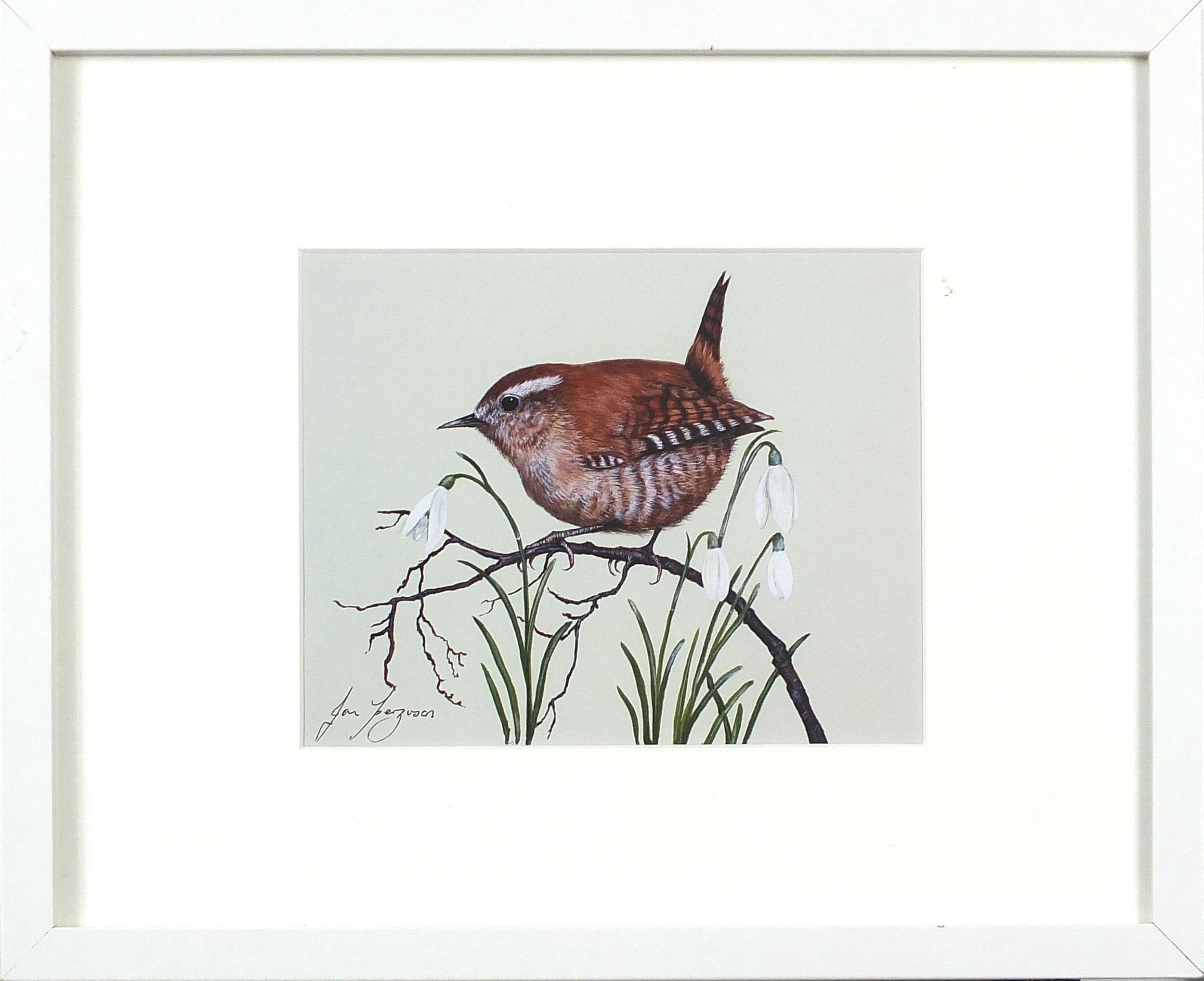 Jan Ferguson | Bird on a branch | MutualArt