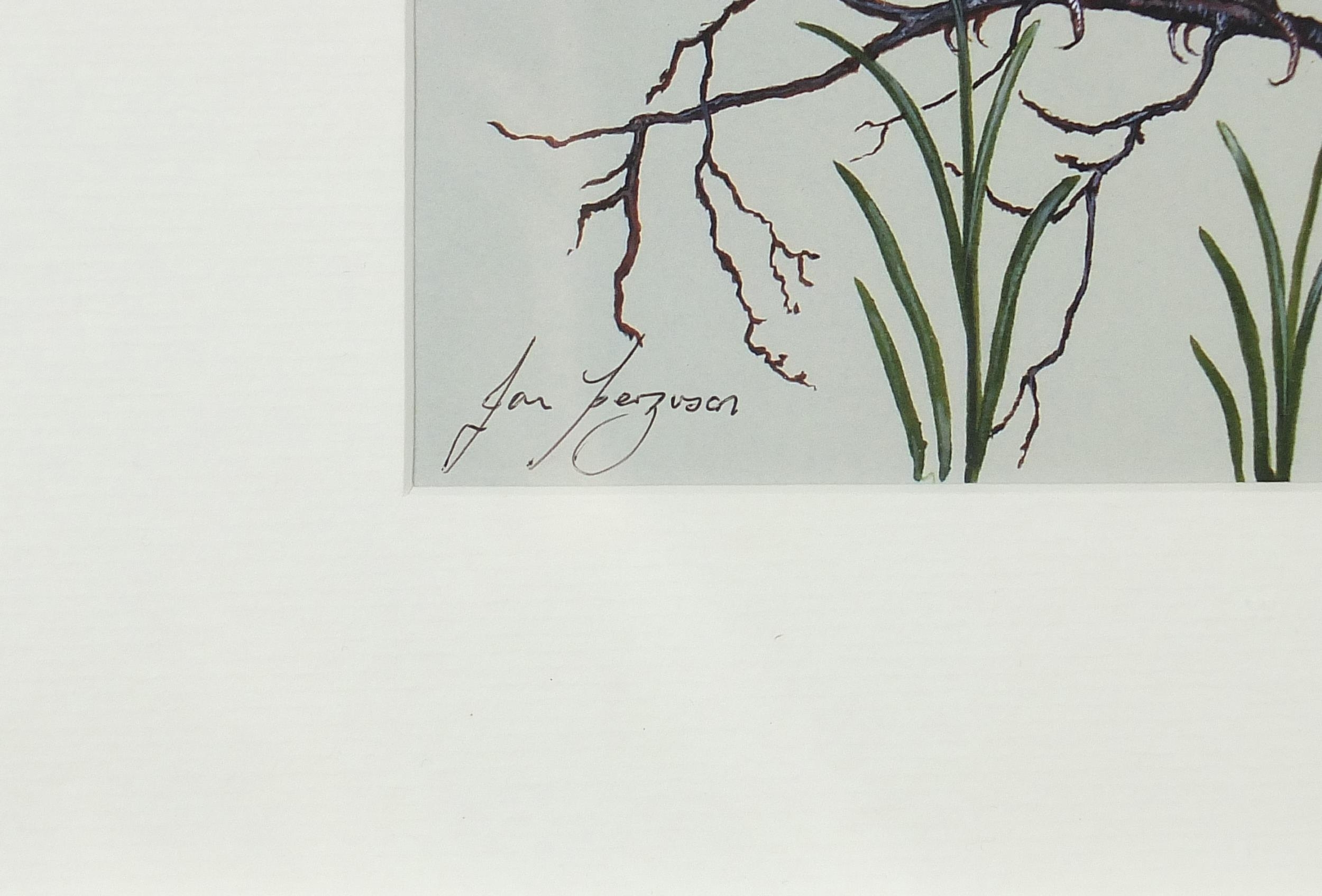 Jan Ferguson | Bird on a branch | MutualArt